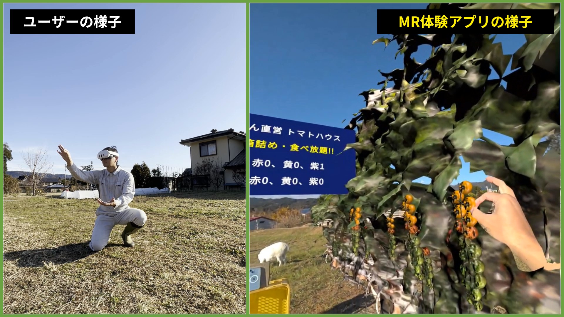 熊本限定「MR農漁業アプリ体験＆作物発送」サービス - M・Root